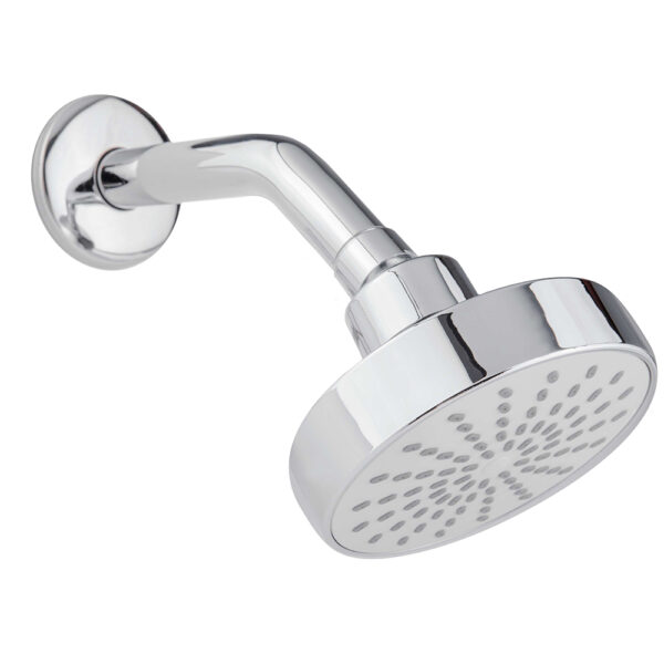 4541 Regadera ecológica 4″ de cebolla con brazo y chapetón – Tienda ...